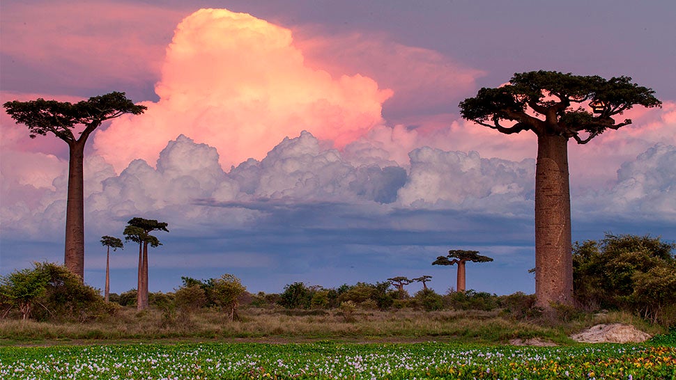 10 lugares que deberías visitar antes de que desaparezcan 10 lugares que deberías visitar antes de que desaparezcan