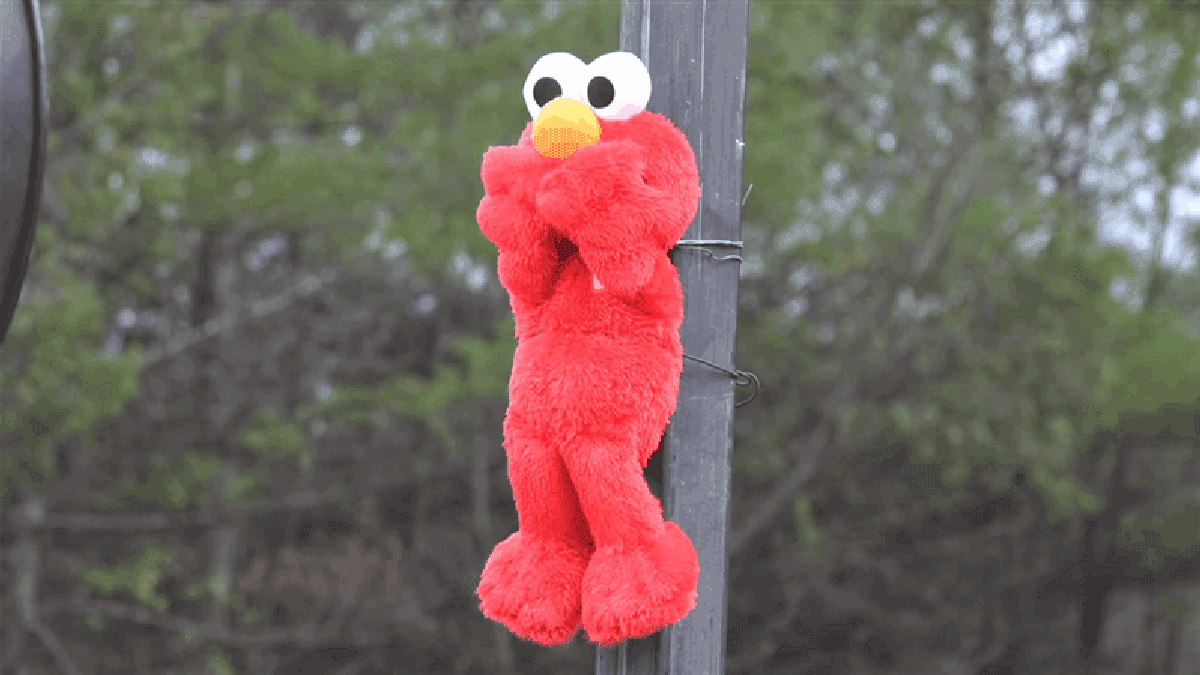 Elmo Versus The Jet Engine