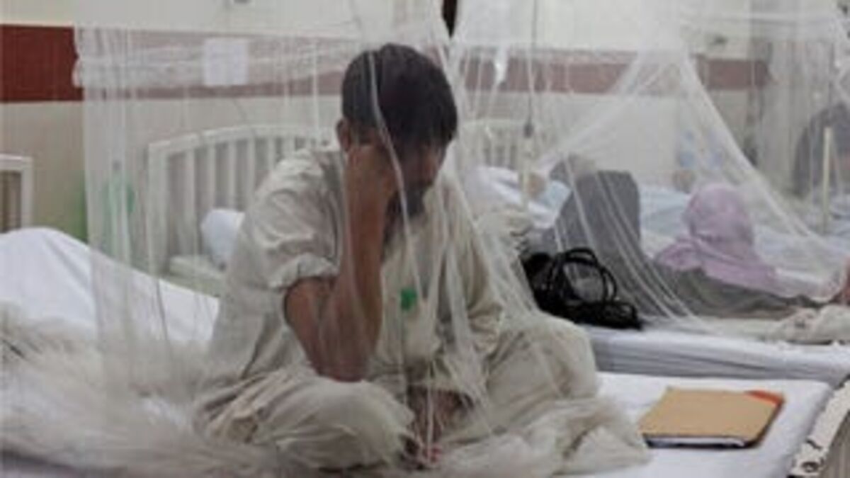 What Warren Buffett’s son doesn’t understand about the world