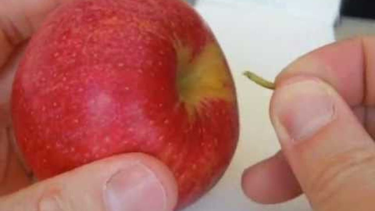 How to Split an Apple Without a Knife