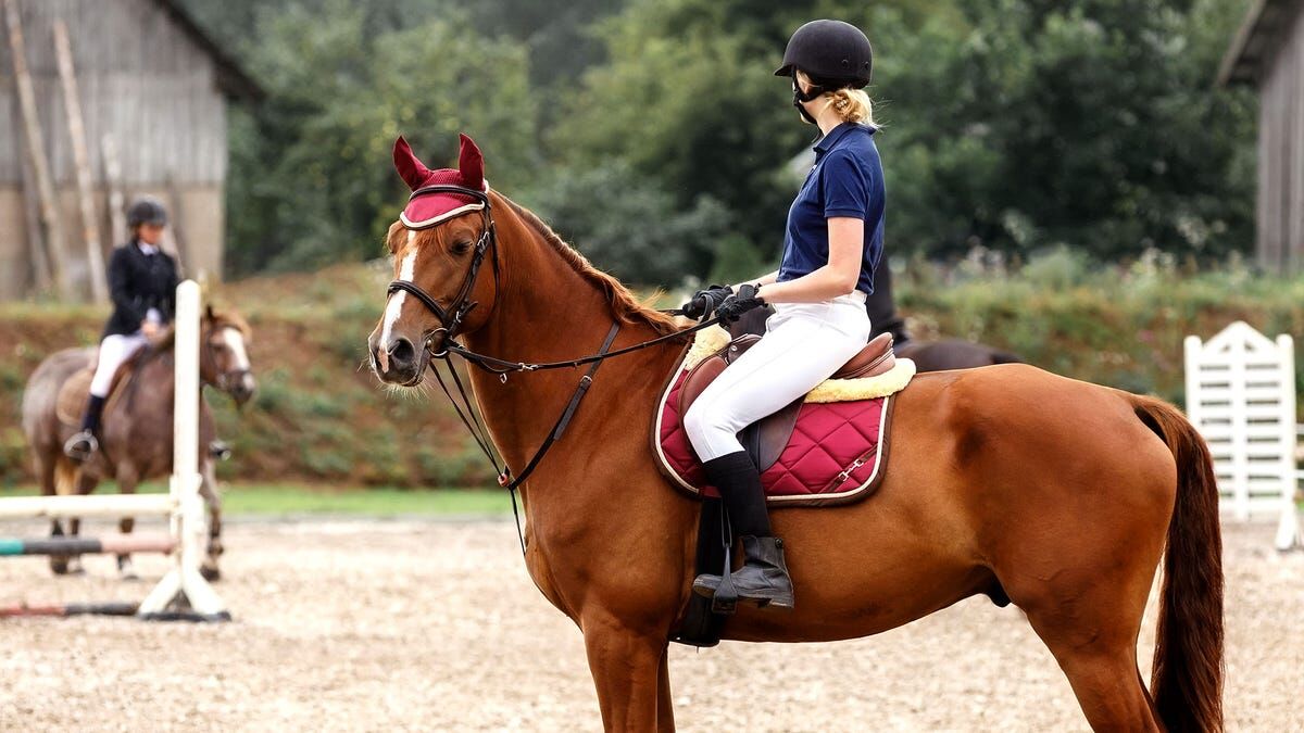 Dressage Practice Super Awkward Ever Since Horse And Rider Stopped ...