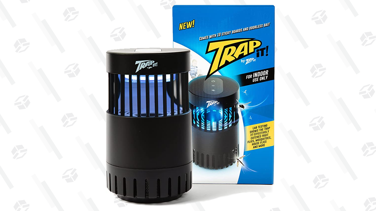 Trap Dreaded Bugs With Trap It! Indoor Insect Trap