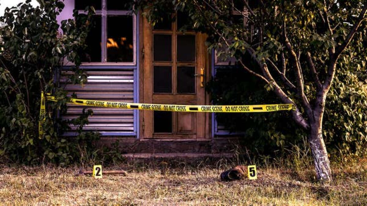 Authorities Reveal Murderer Googled ‘How To Leave Obvious Trail Of ...