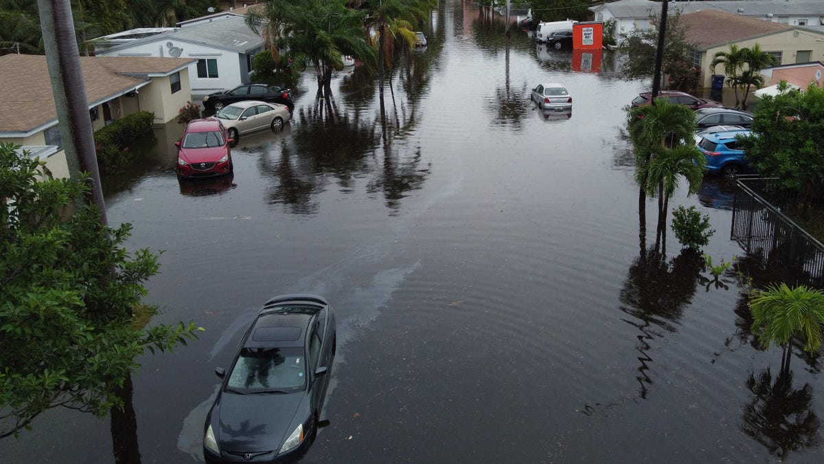 Elon Musk’s Proposed Fort Lauderdale Tunnel Is a Flood Risk Elon Musk’s Proposed Fort Lauderdale Tunnel Is a Flood Risk