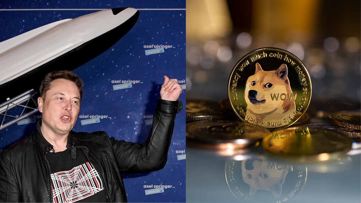 Doge's Twitter Reign Ends, Triggering Memecoin Slump