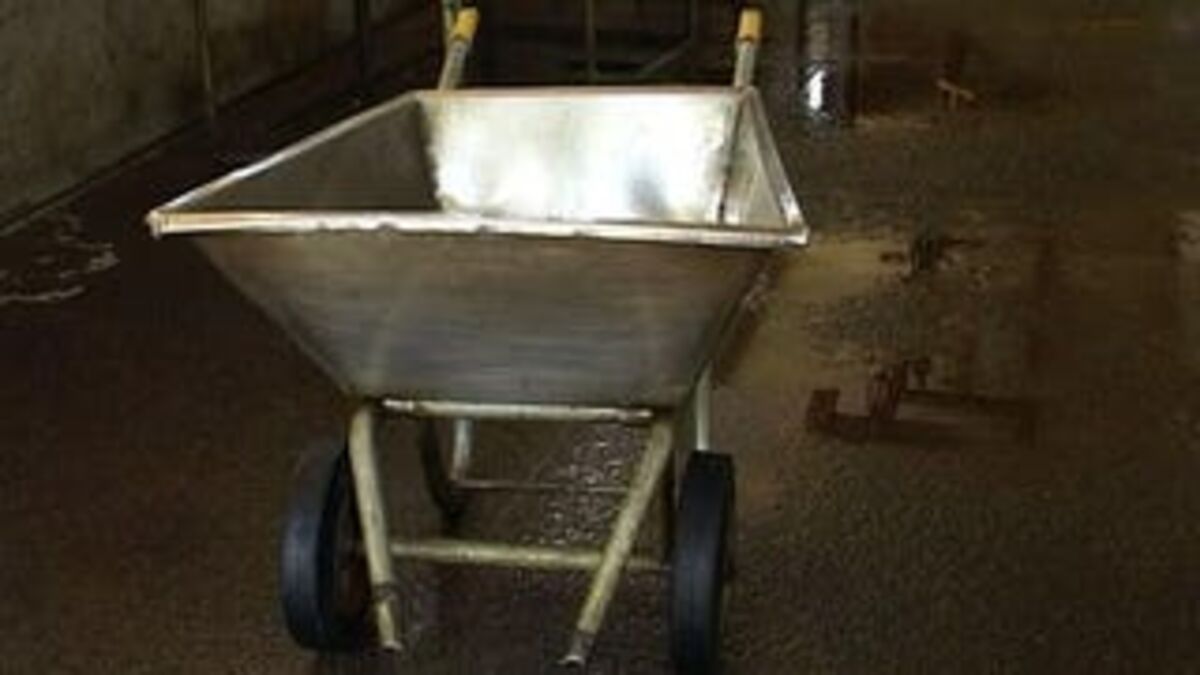 Kenya's Bungoma county governor defends buying $1,000 wheelbarrows by ...