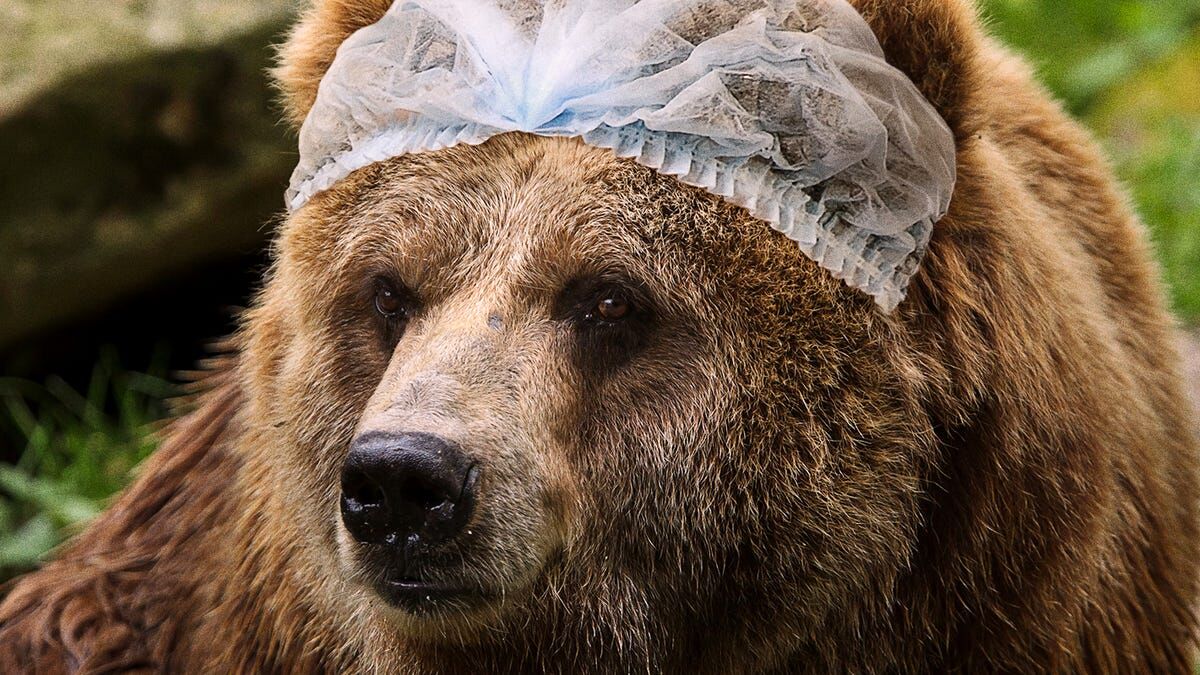 New National Park Service Sanitation Regulations Require Hair Nets For ...