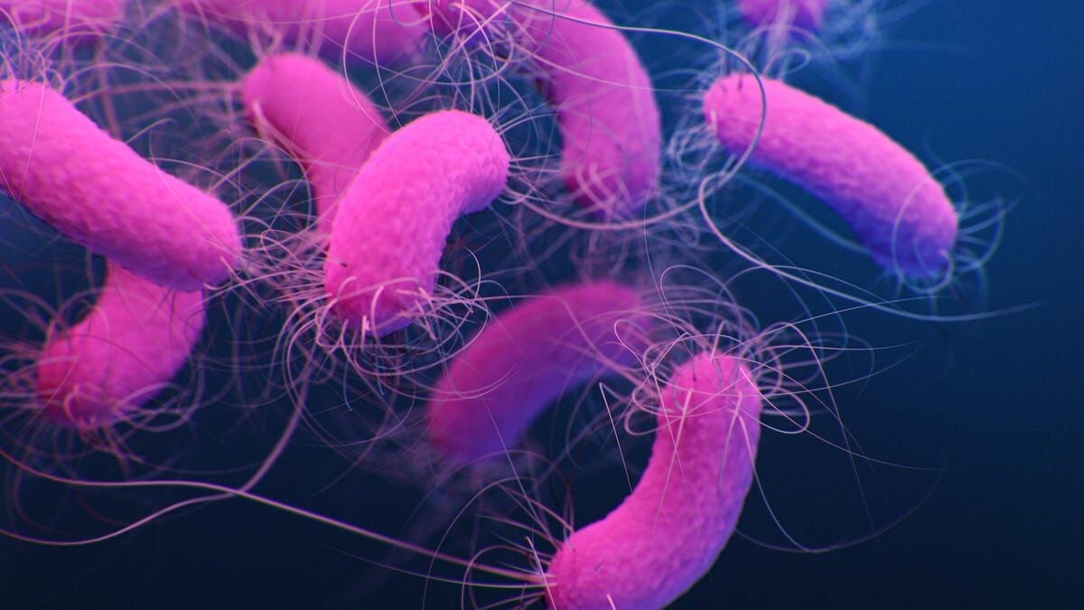 This Bacteria Forces You to Make Snot, Then Eats It