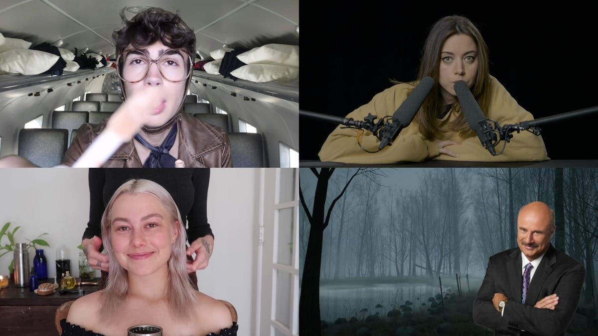 Here Are 17 of the Most Unhinged ASMR Videos