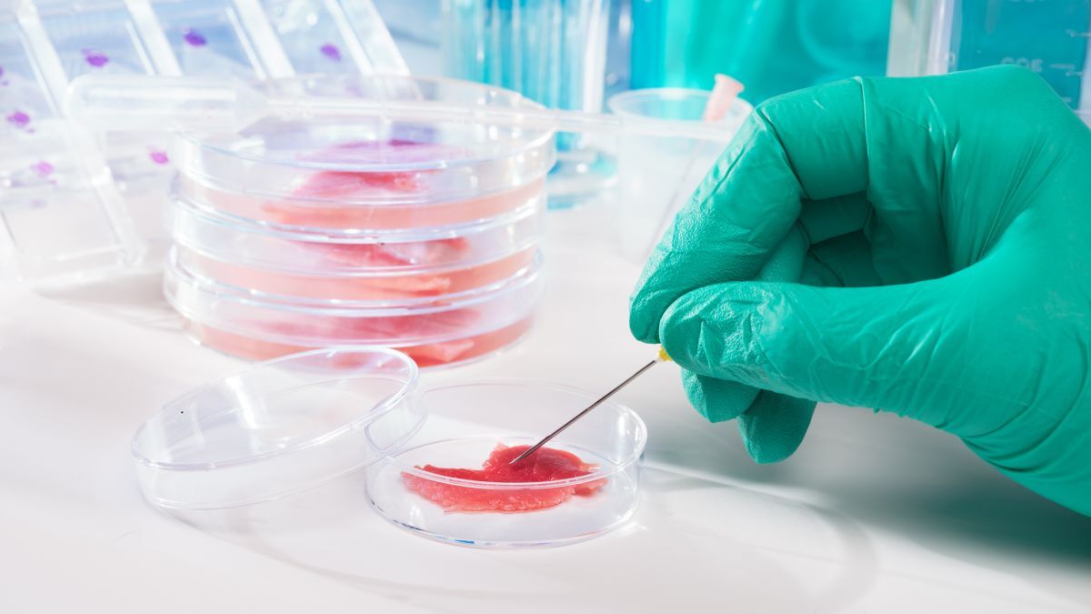 Lab-grown meat now wants to be called “cell-based,” thank you