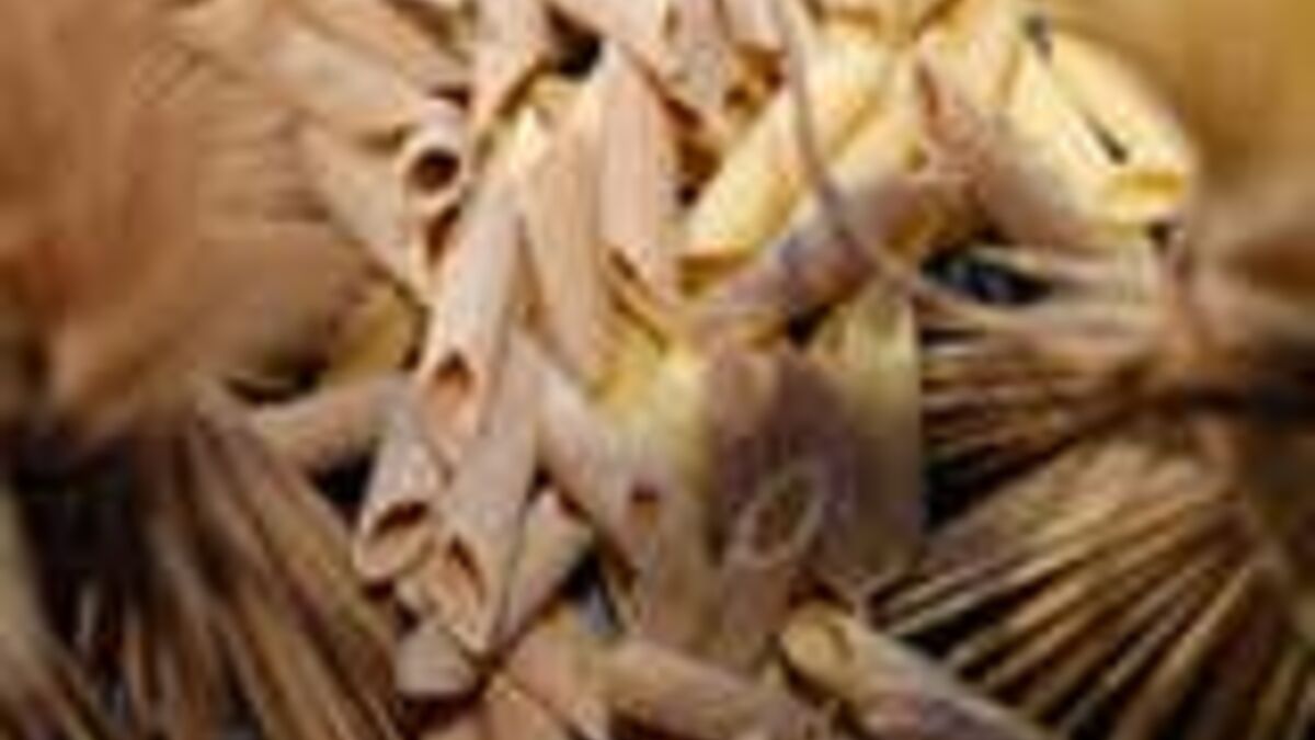 Why pasta comes in so many shapes