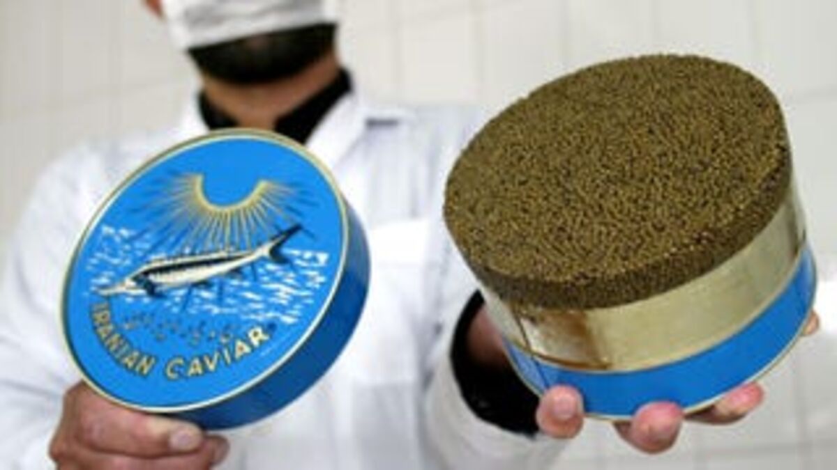 The Iran nuclear deal has important implications for the world's caviar ...