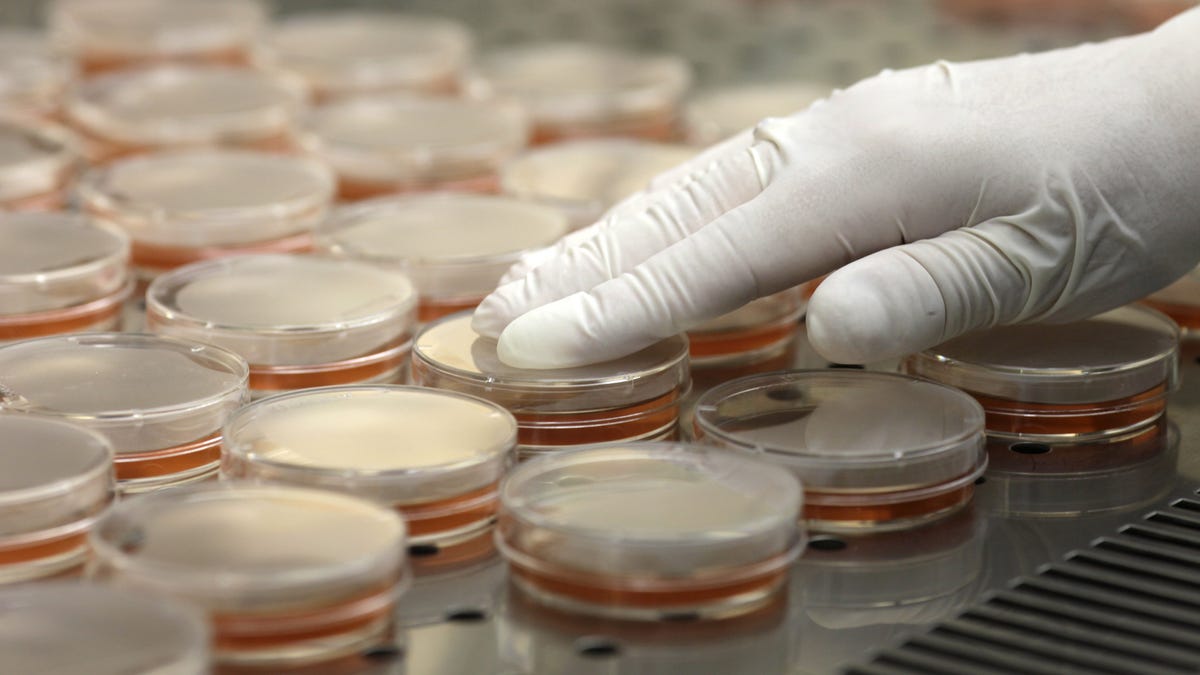 The antibiotic apocalypse is nigh: Scientists found bacteria resistant ... The antibiotic apocalypse is nigh: Scientists found bacteria resistant ...