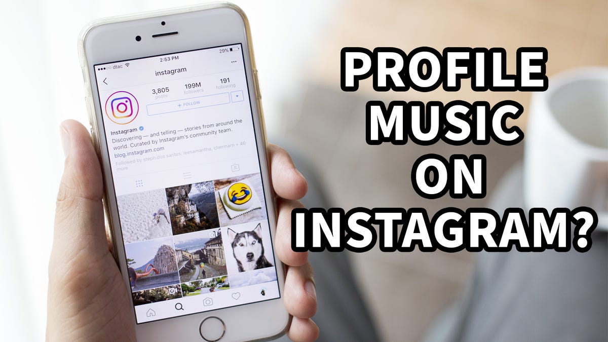 Instagram is Testing Adding Songs to Your Profile - 'Gizmodo' News ... Instagram is Testing Adding Songs to Your Profile - 'Gizmodo' News ...