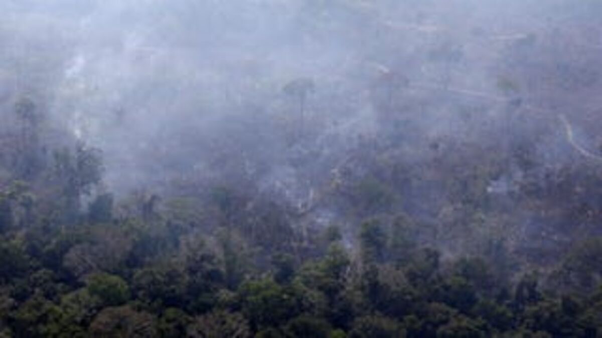 Amazon fires prompt H&M, Vans and Timberland to stop buying Brazilian ...