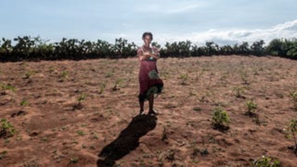 The world's only climate change famine has hit Madagascar