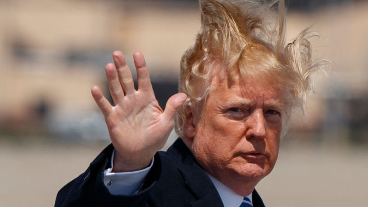 Everyone, Including Trump’s Wig, Is Protesting Now