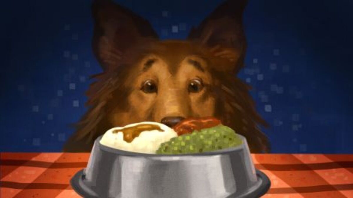 What happened when I made meals from a cookbook for dogs