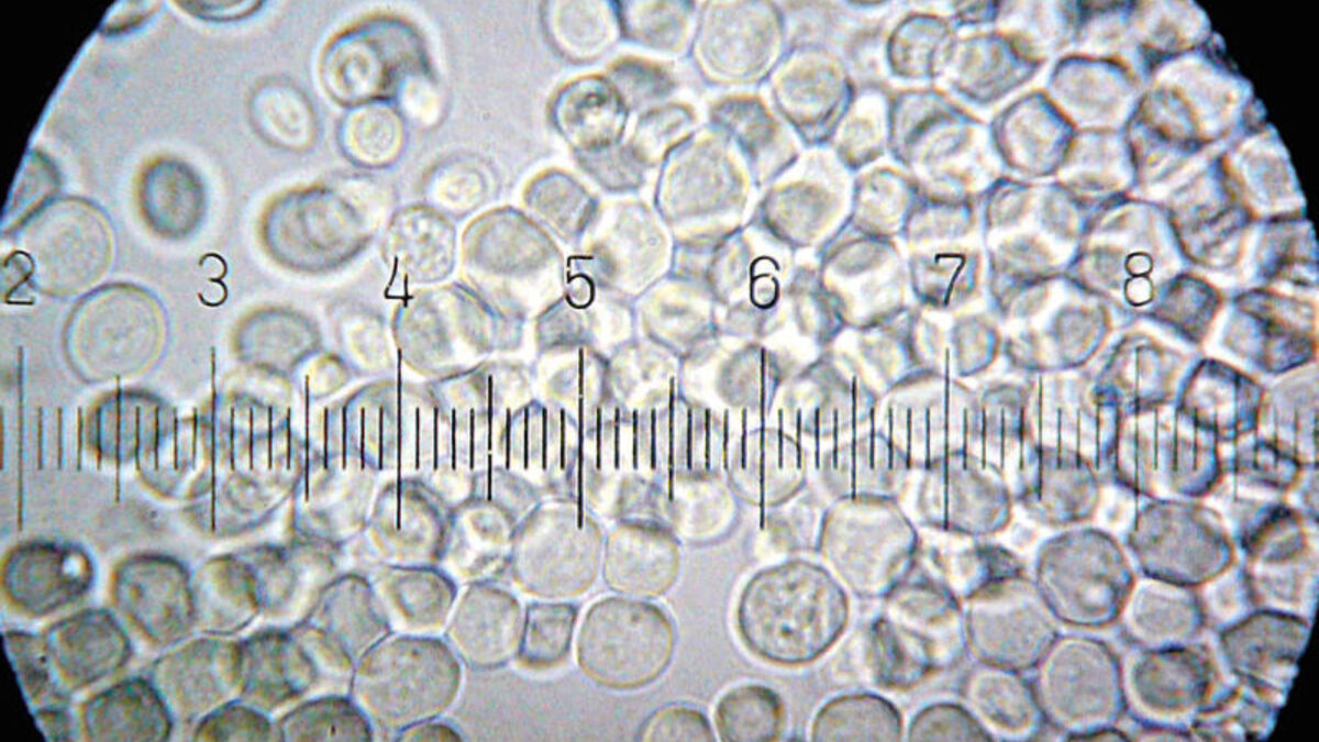 Scientists Just Took a Major Step Toward Creating Synthetic Life