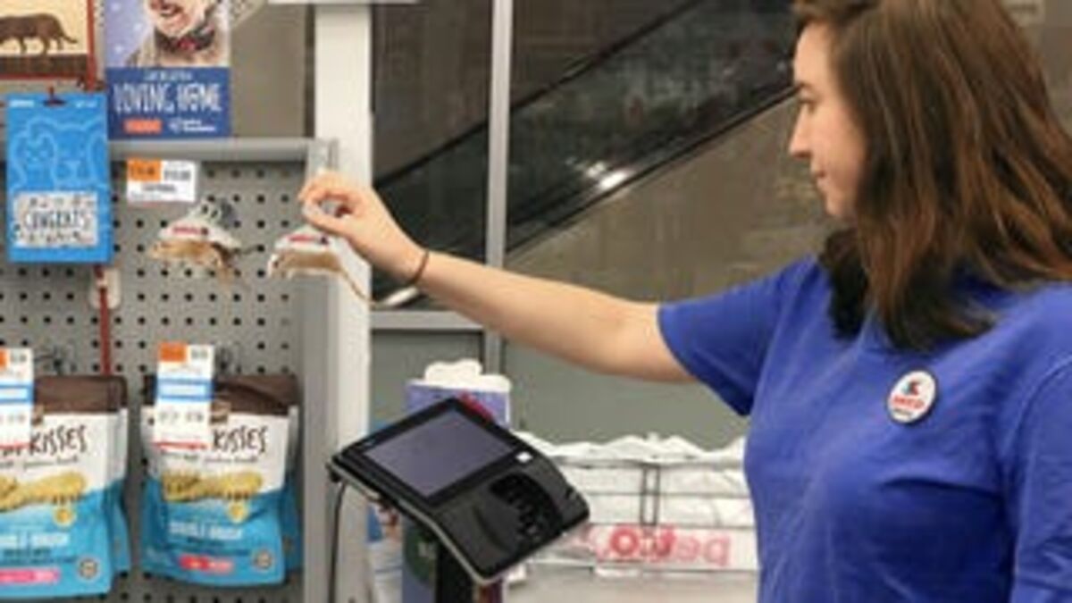 Petco Employee Stocks Gerbils By The Cash Register For Impulse Purchases