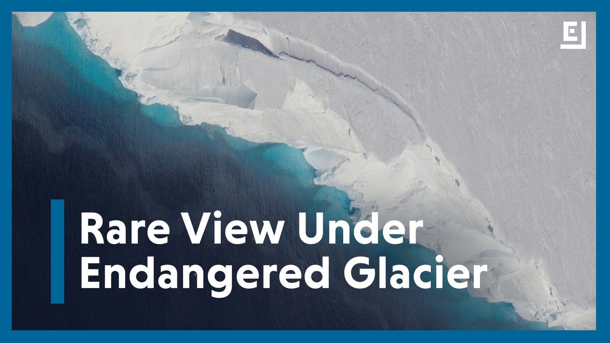 Researchers Capture First Video From Under Antarctica's Most Endangered ... Researchers Capture First Video From Under Antarctica's Most Endangered ...