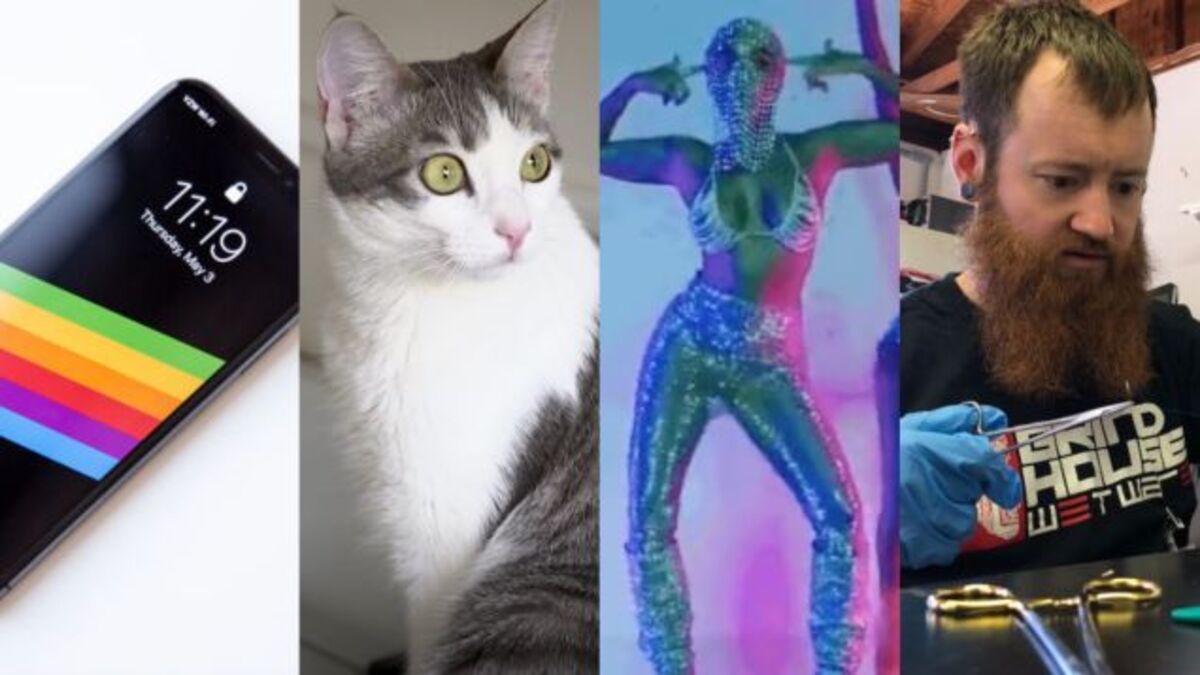 iPhone X at Six Months, Janelle Monáe's Odyssey, and Cat DNA: The Best ...