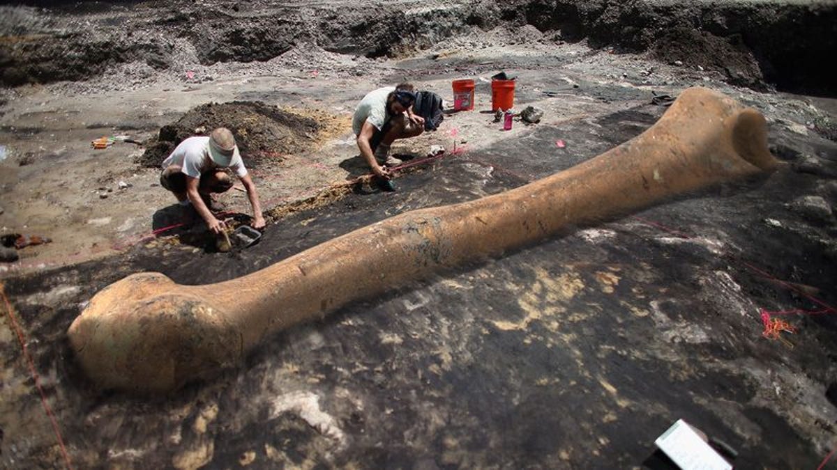 Extraordinary Discovery: Paleontologists Have Unearthed The World’s ... Extraordinary Discovery: Paleontologists Have Unearthed The World’s ...