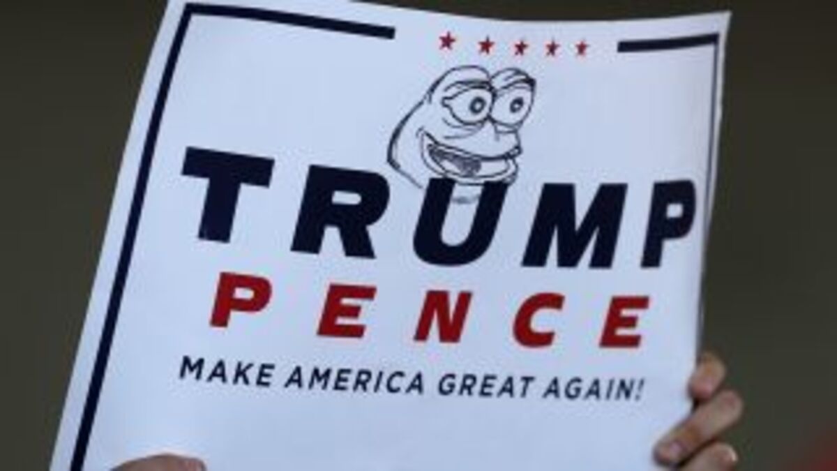 Pepe Creator Matt Furie Has Reclaimed His Fun-Loving Frog From an Alt ...