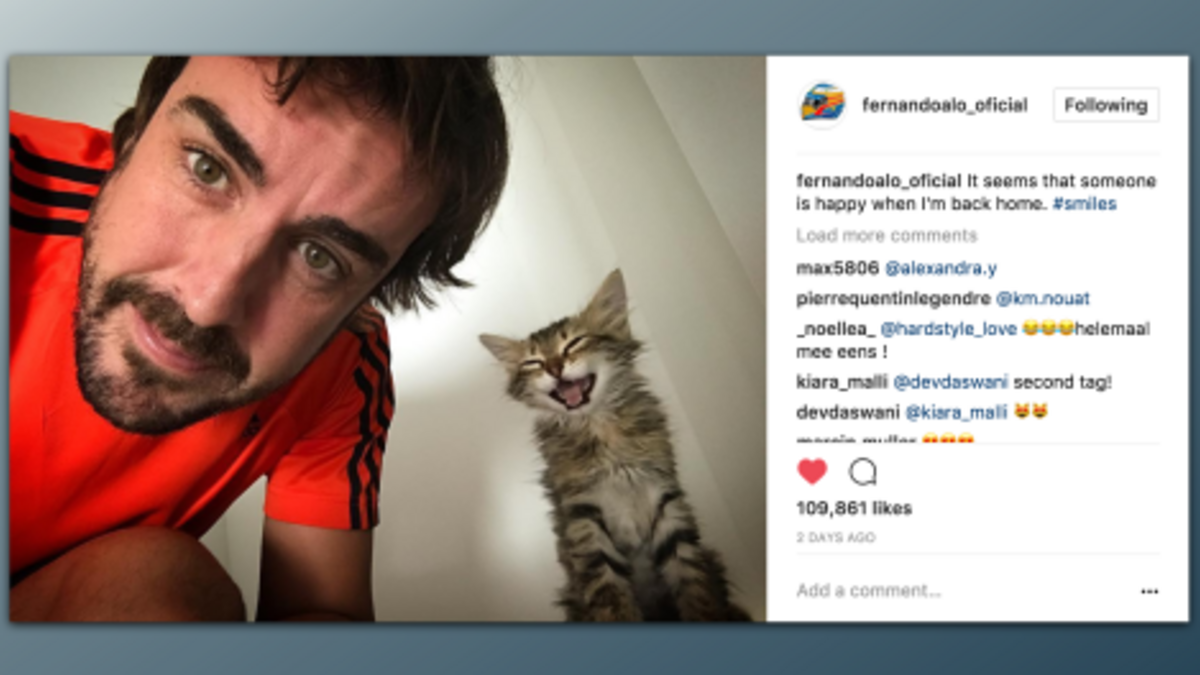 EXCLUSIVE: After Much Detective Work And Investigating We Now Know The ...