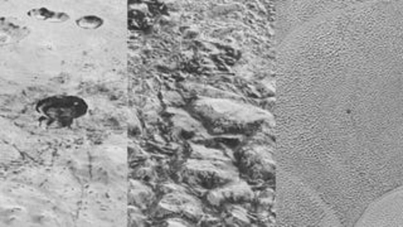 New NASA photos of Pluto reveal Earth-like terrain that is "a total ...