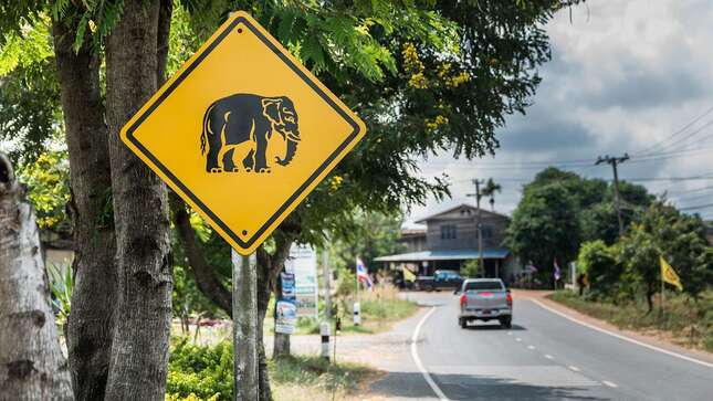 The Weirdest Road Signs You’ve Come Across On Your Travels