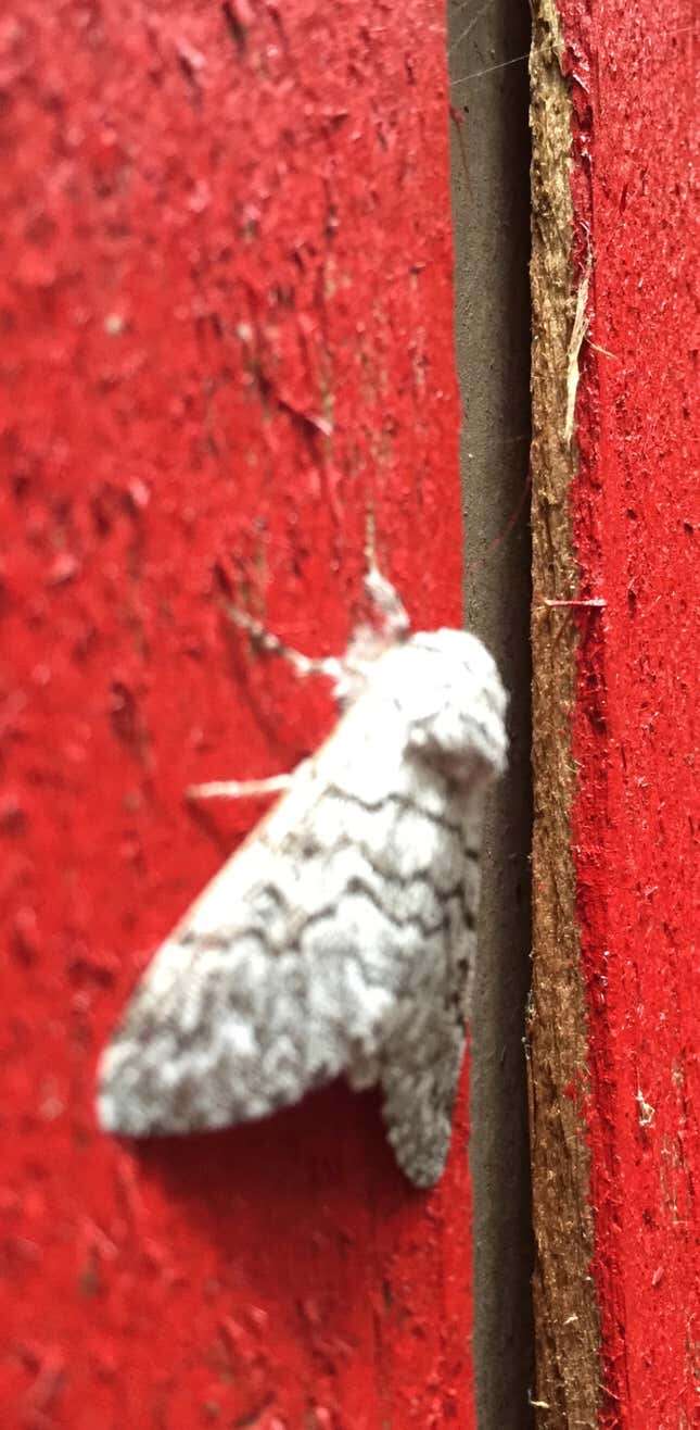 A solar eclipse isn't the only way to have awe-inspiring experiences ...