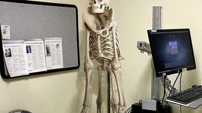Skeleton In Sketchy Doctor’s Office Assembled Completely Wrong