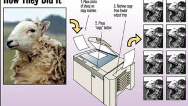 Mexican Scientists Perfect Copying