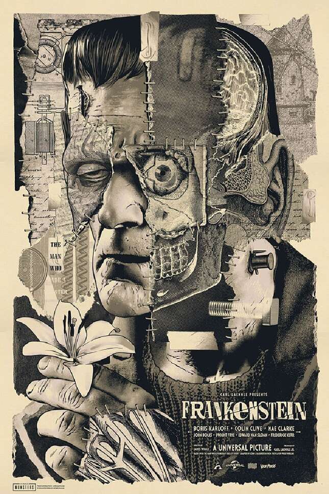 Frankenstein Universal Monsters Movie Poster by Anthony Petrie