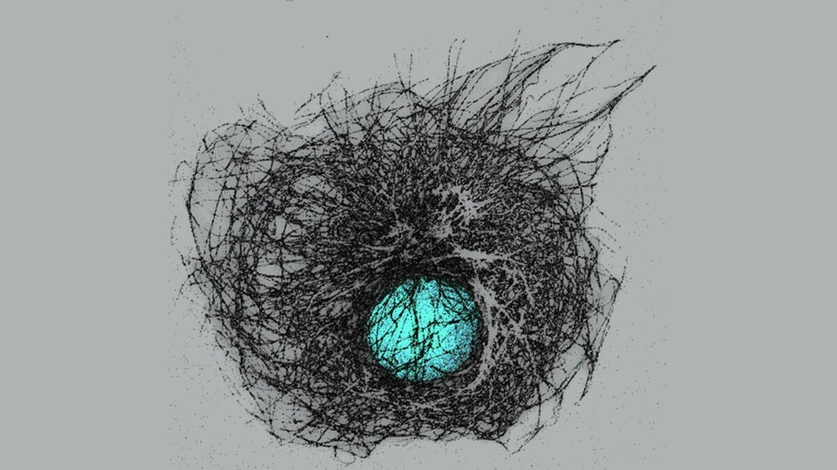 You've Never Seen A Cell Look Like This | Gizmodo Australia