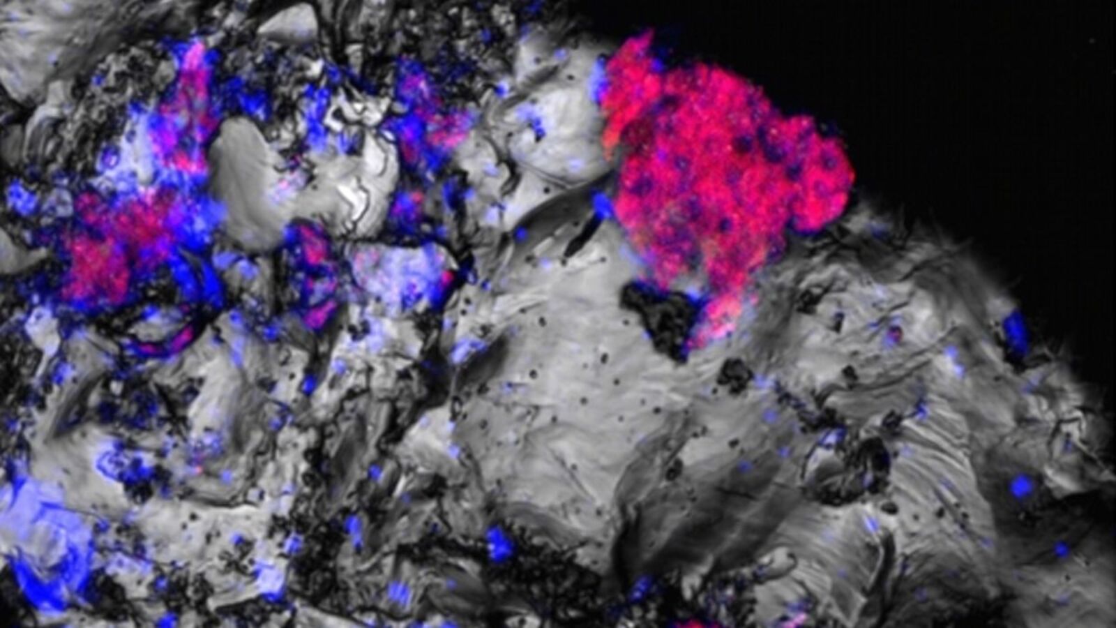 Photosynthesizing Bacteria Found Thriving Thousands of Feet Below Earth ...