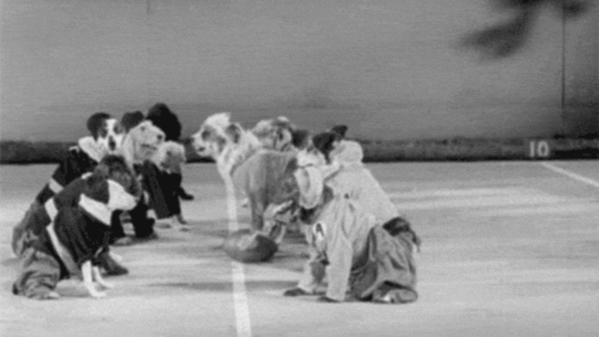 Windshield Crack Theory | Subaru Outback Forums