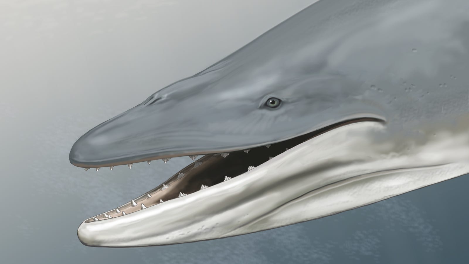 The Ancient Ancestors of Blue Whales Hunted the Oceans With ...