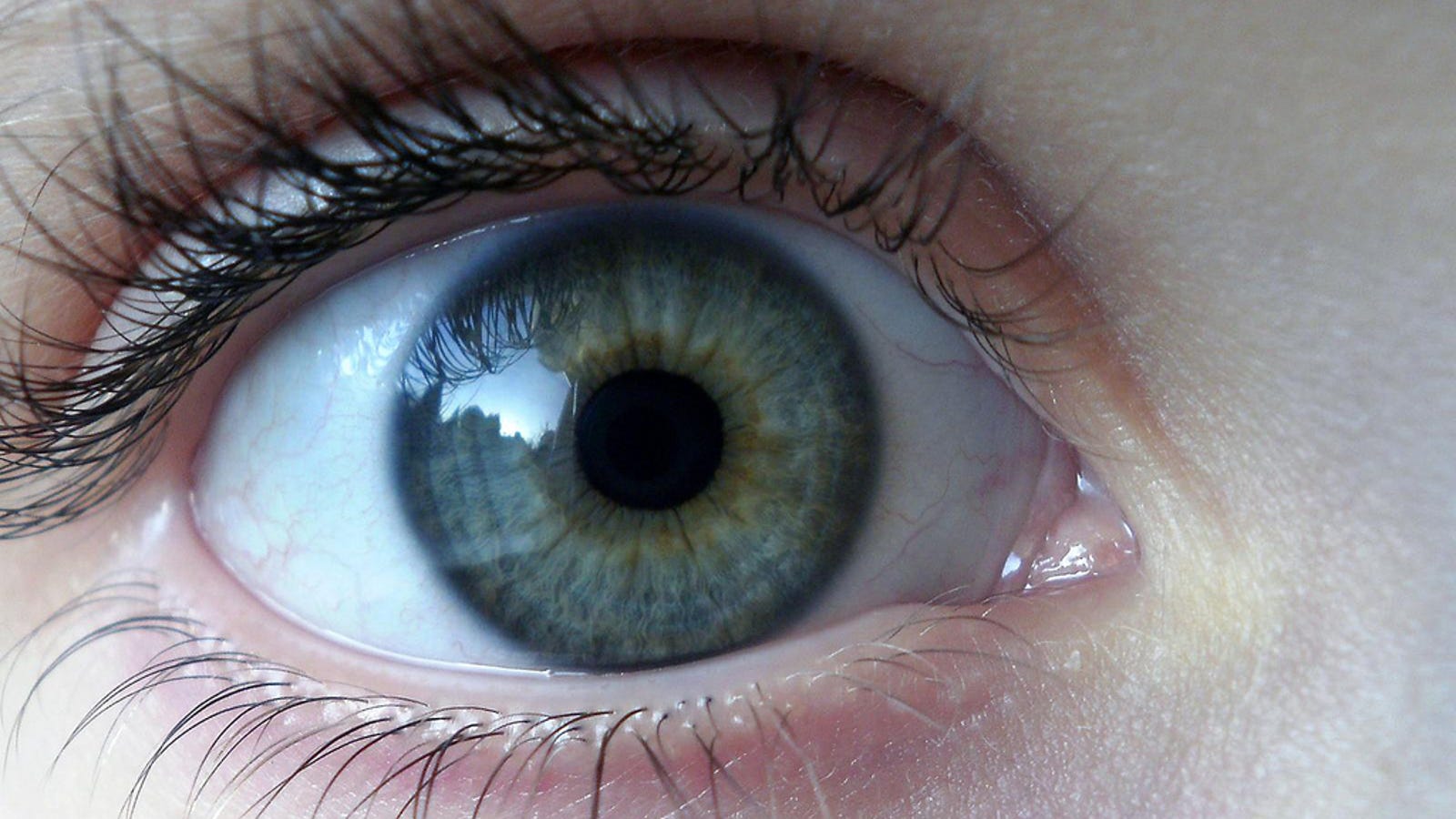 The Fda Just Approved Gene Therapy For Inherited Blindness