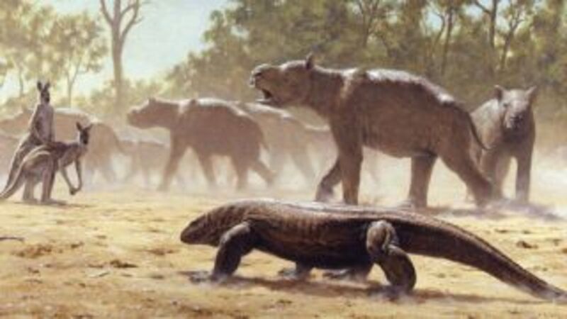 This Ancient Australian Beast Is the Only Marsupial Known to Have Made ...