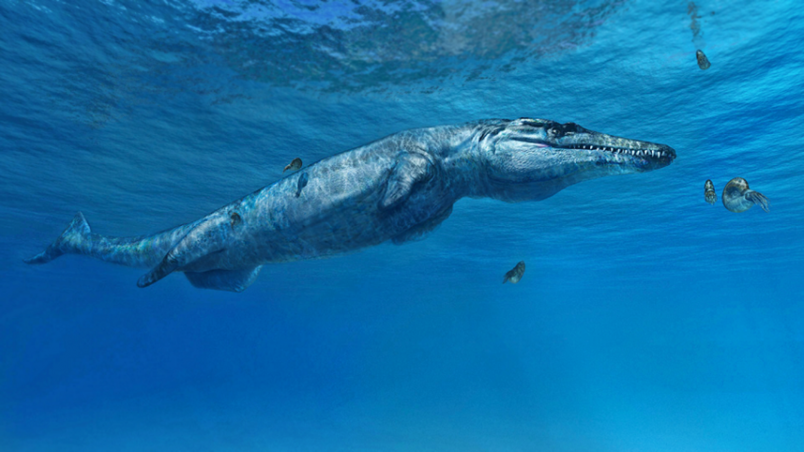 This 10 Foot Long Jurassic Crocodile Once Menaced Britains Seas