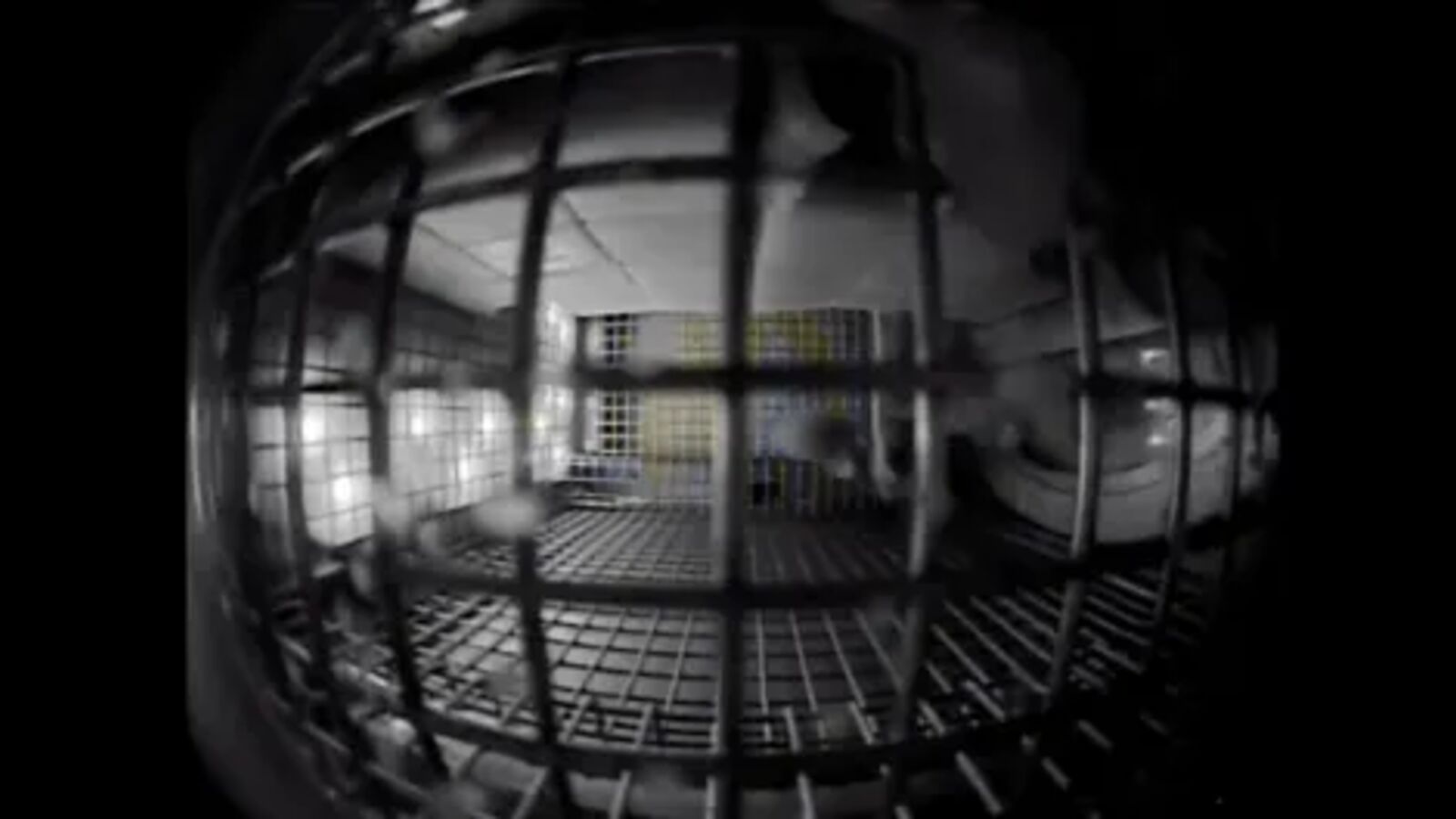 The First Detailed Study of How Mice Behave in Space Reveals Strange ...