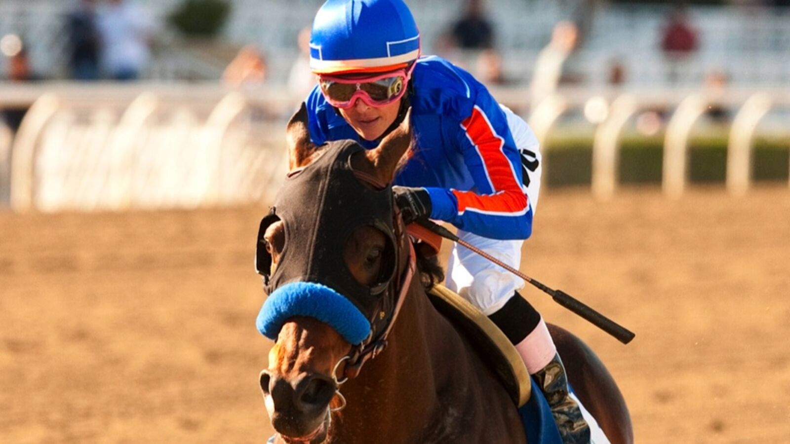 Chantal Sutherland Becomes First Lady Jockey Ever to Win the Hollywood ...
