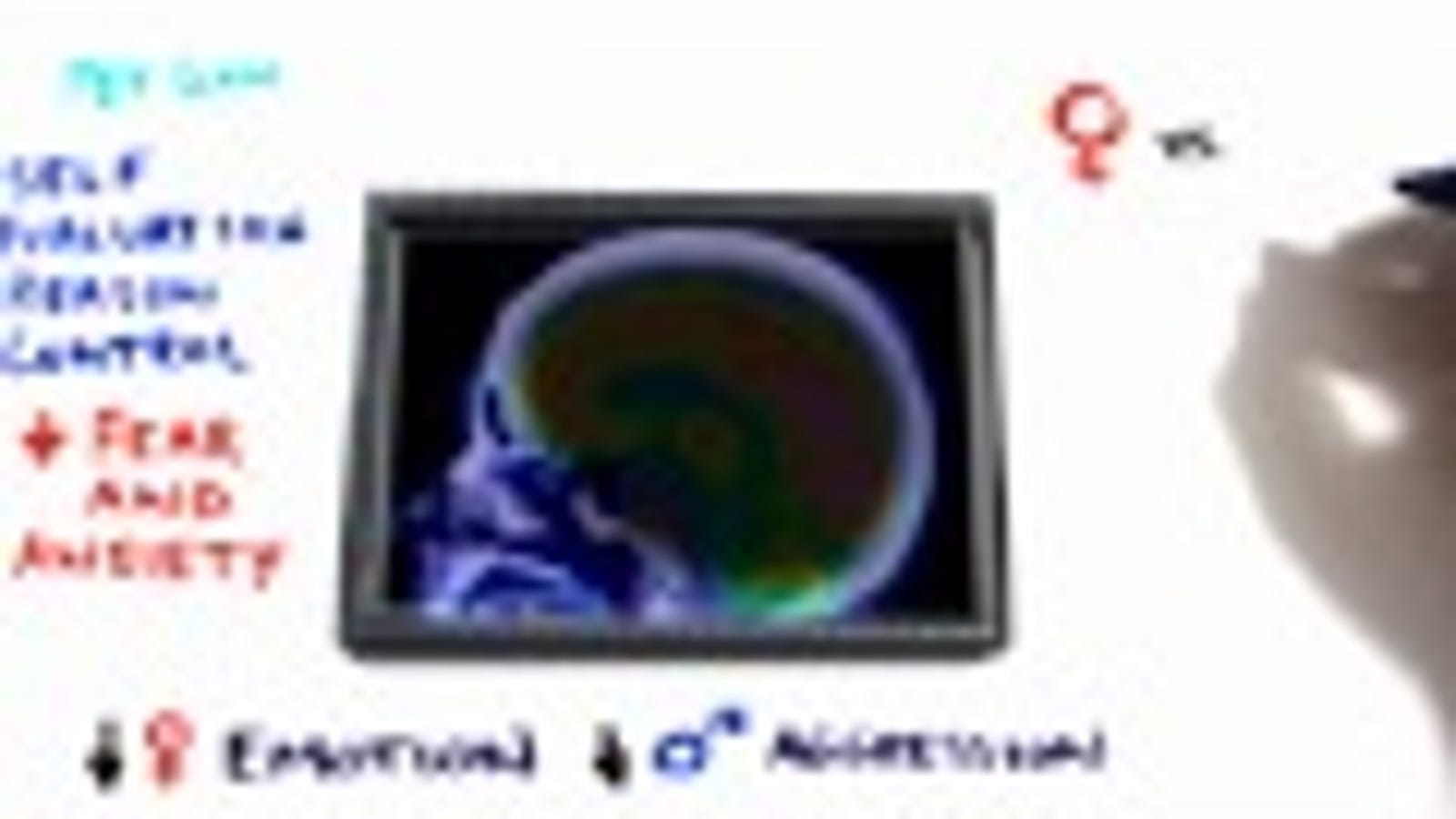 The Science Of Orgasms