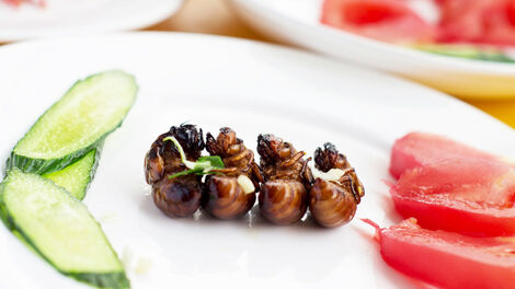 Some Edible Insects Beat Orange Juice and Olive Oil in Antioxidant Test