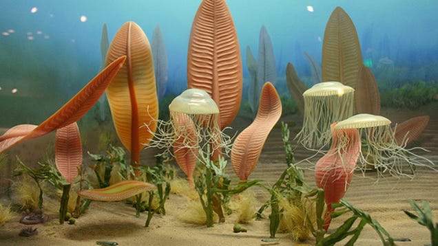 Vanished Precambrian Life Forms Were Like Nothing Before or Since Vanished Precambrian Life Forms Were Like Nothing Before or Since
