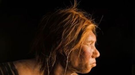 Scientists Who Doubt Neanderthal Art Must Reckon With New Evidence From ...