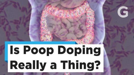 Chemical Compound That Gives Poop Its Stink Extends Healthy Lifespan in ...