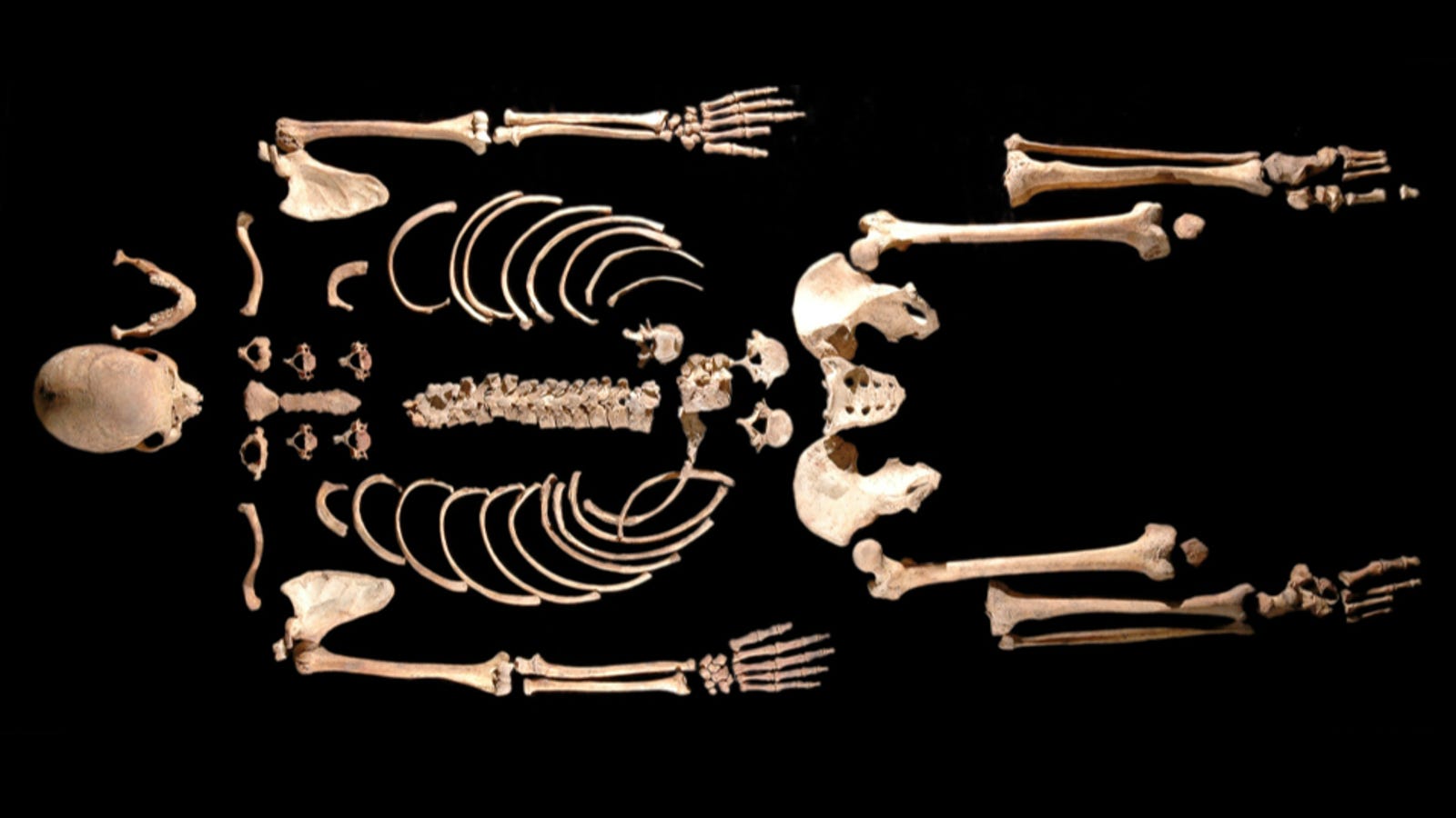 Researchers Sequence Fragments Of The Oldest Human Genome On Earth